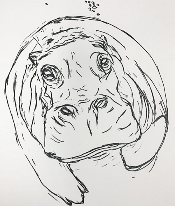 Harold – HD Walls Sustainable Wallcovering