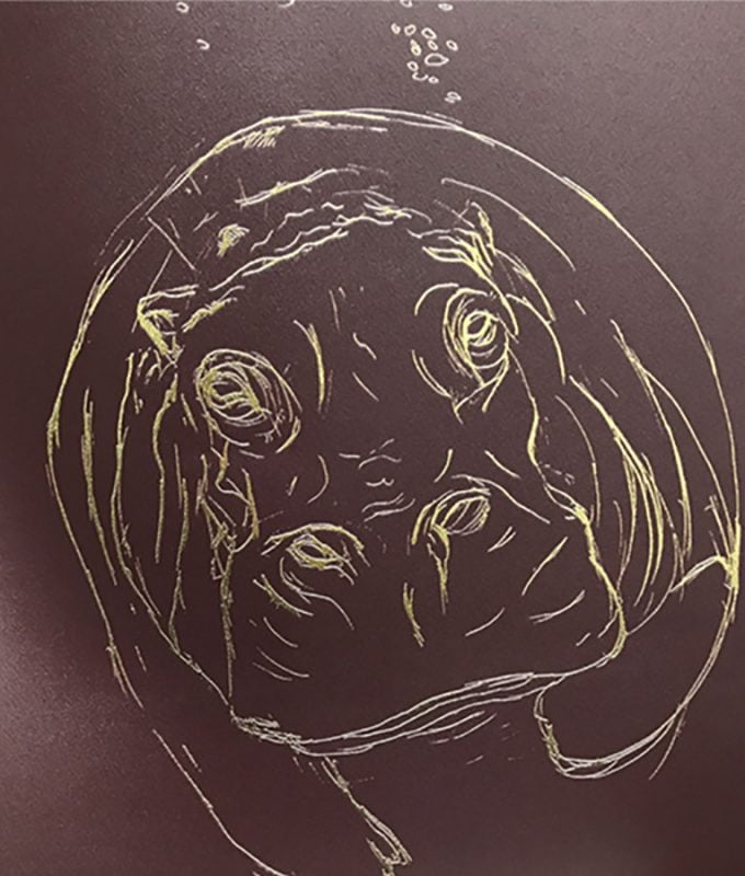 Harold – HD Walls Sustainable Wallcovering