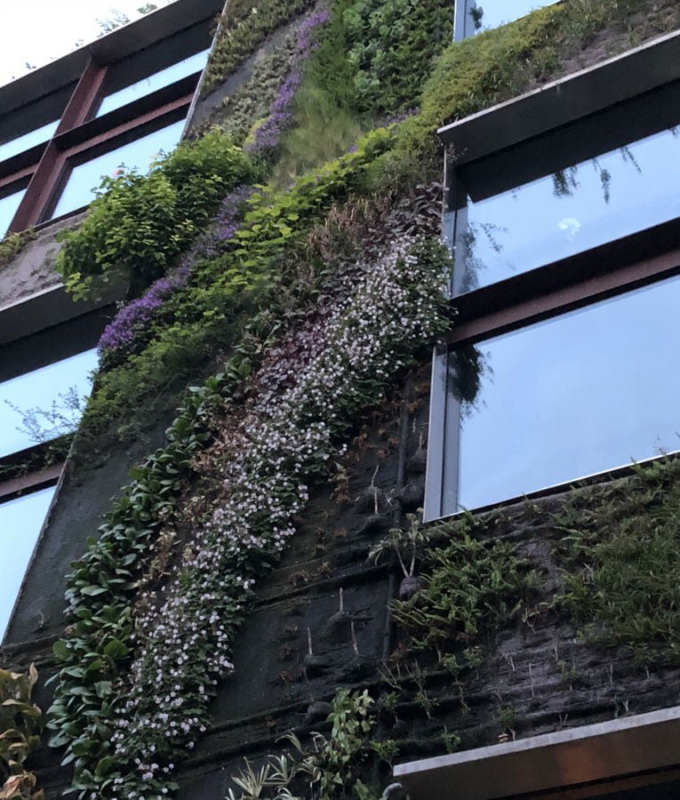 Biophilic Design Wall Murals – HD Walls Sustainable Wallcovering